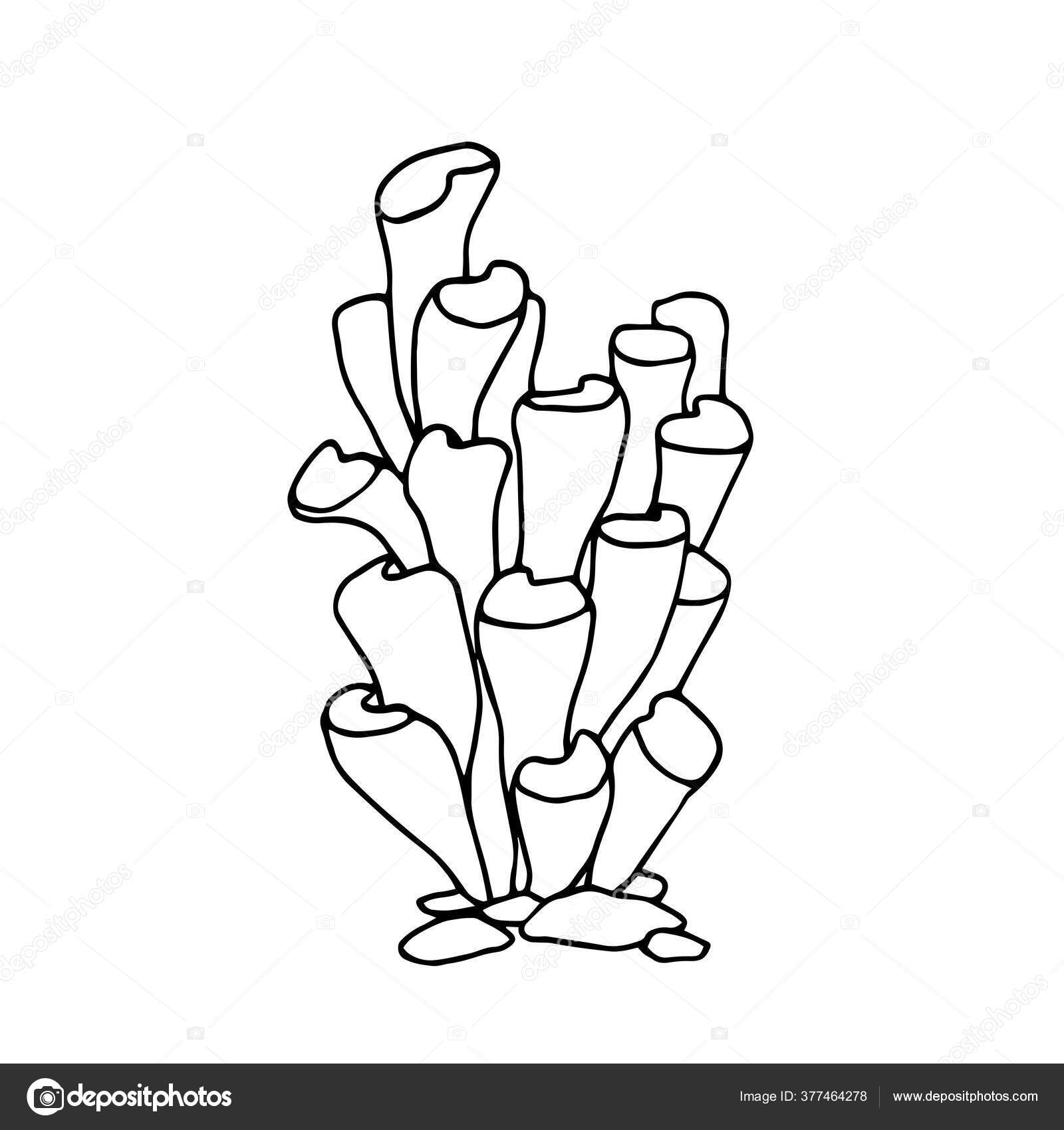 Branch Marine Sponges Sea Bottom Polyp Aquarium Floral Element Vector ...