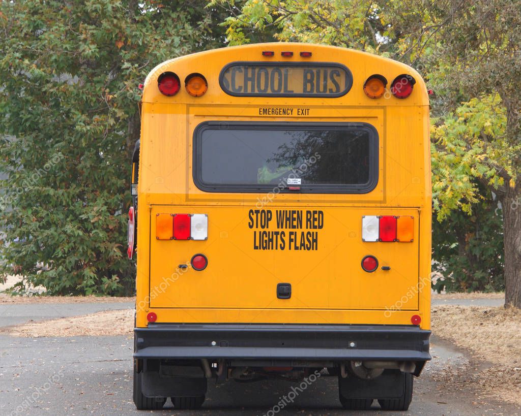 Trasera de un autobús escolar amarillo tradicional con árboles por ...