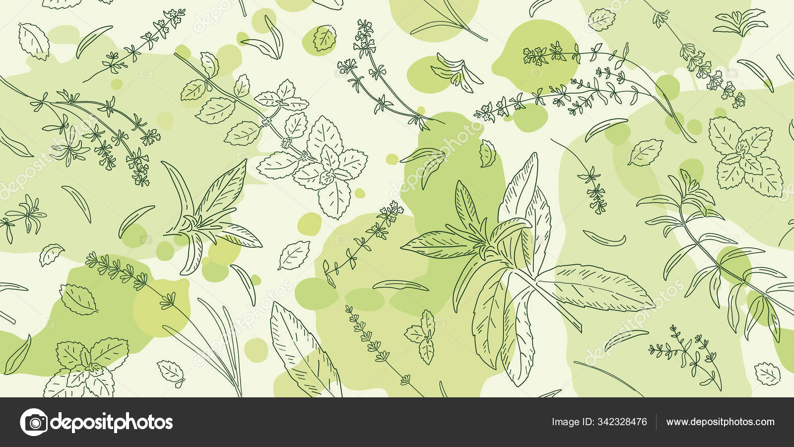 Hand drawn sketch with herbs and plants. Seamless pattern. Stock Vector ...
