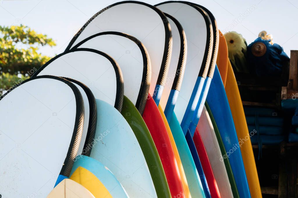 Conjunto de tablas de surf de colores en alquiler en la playa. Tablas ...