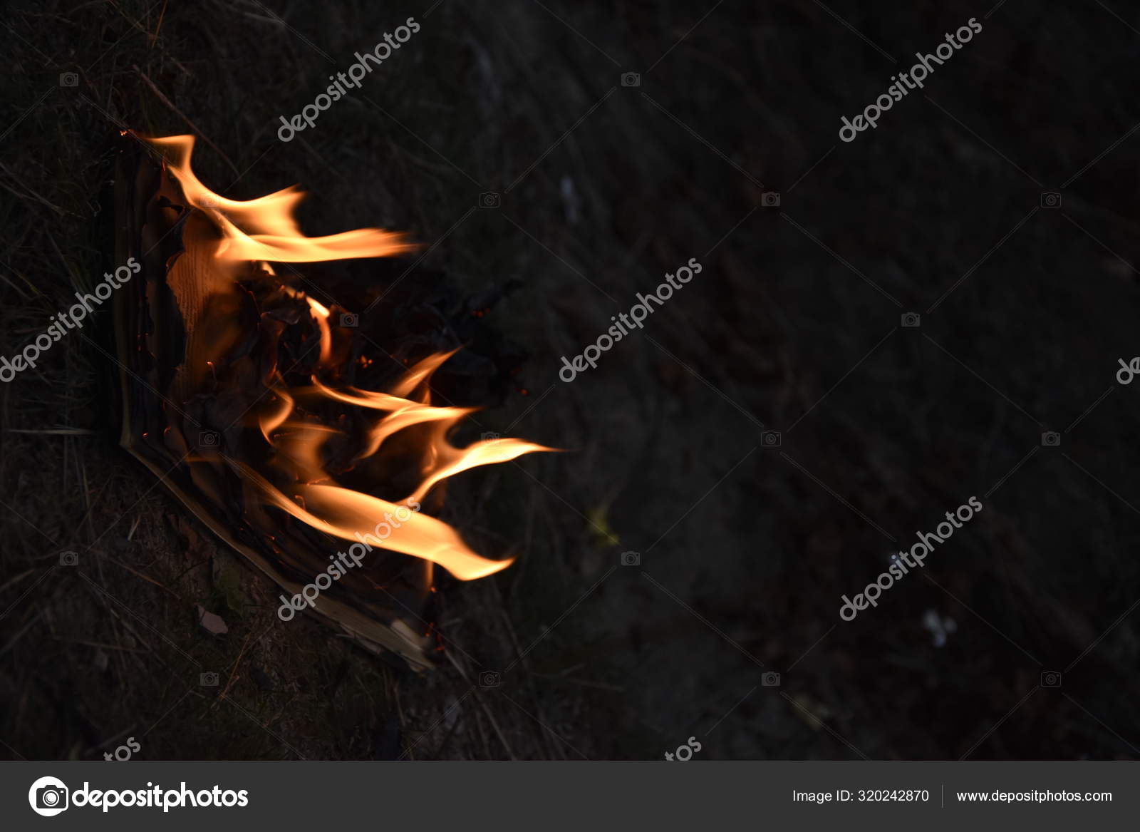 Book Burning Fire Flame Page Bonfire Camping Campfire — Stock Photo ...