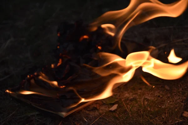 Burning book Stock Photos, Royalty Free Burning book Images | Depositphotos