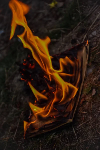 book burning fire flame page bonfire camping campfire - Stock Image ...