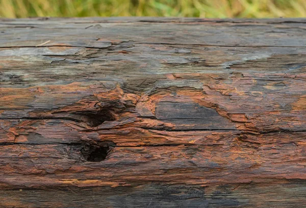 About the log Stock Photos, Royalty Free About the log Images ...