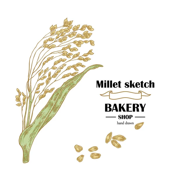 Millet logo Vector Art Stock Images | Depositphotos