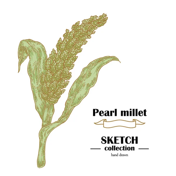 Millet logo Vector Art Stock Images | Depositphotos