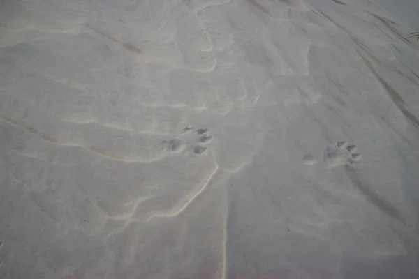 Pistas de lama Stok Foto, Pistas de lama Gambar Bebas Royalti ...