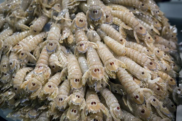 mantis shrimp for sale at the local market in Cadiz, Spain - Stock ...