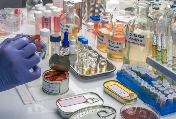 Experienced laboratory scientist analyzes red peppers from a canned ...
