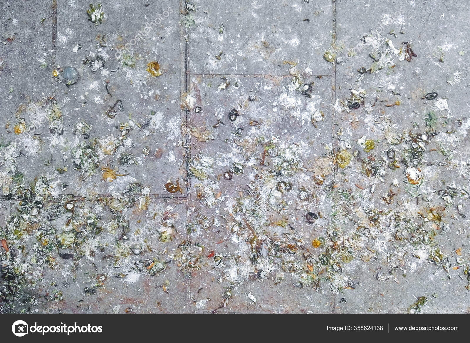 Excrementos Aves Suelo Vista Superior Caca Paloma Acera: fotografía de ...