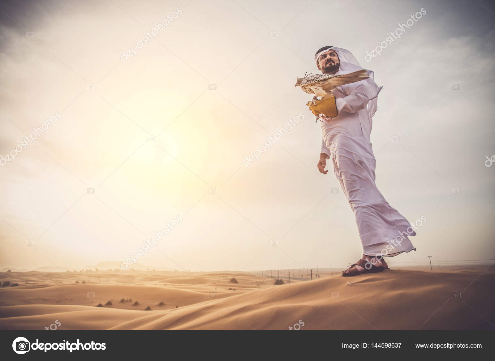 Arabian man with hawk — Stock Photo © oneinchpunch #144598637