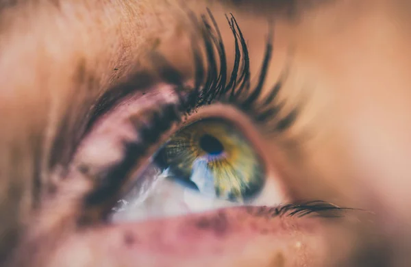 Eye side Images - Search Images on Everypixel