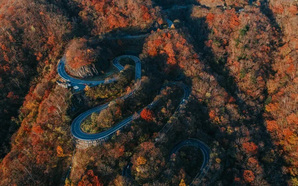 Nikko 's winding road in autumn, Japan — Stock Photo © oneinchpunch ...