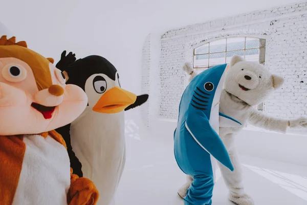 Dab penguin Stock Photos, Royalty Free Dab penguin Images | Depositphotos