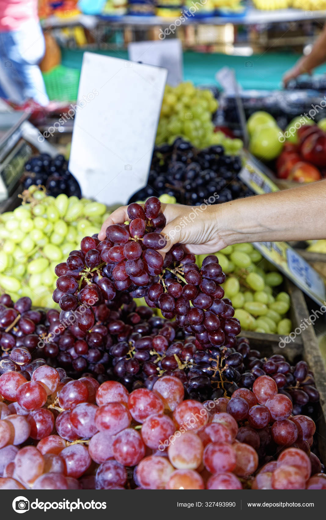 Human Hand Holding Rose Grapes Counters Bazaar Stock Photo by ©Marcelo ...