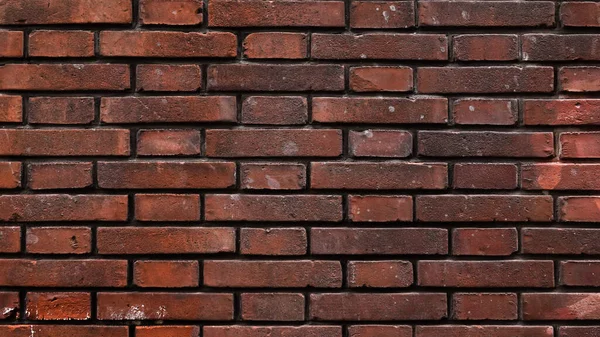 Dark Brown Brick Background