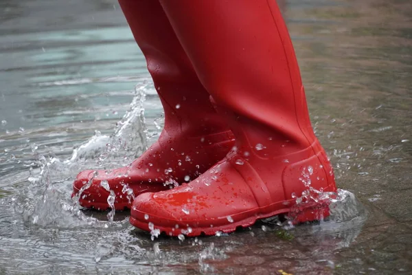 Water boots Images - Search Images on Everypixel