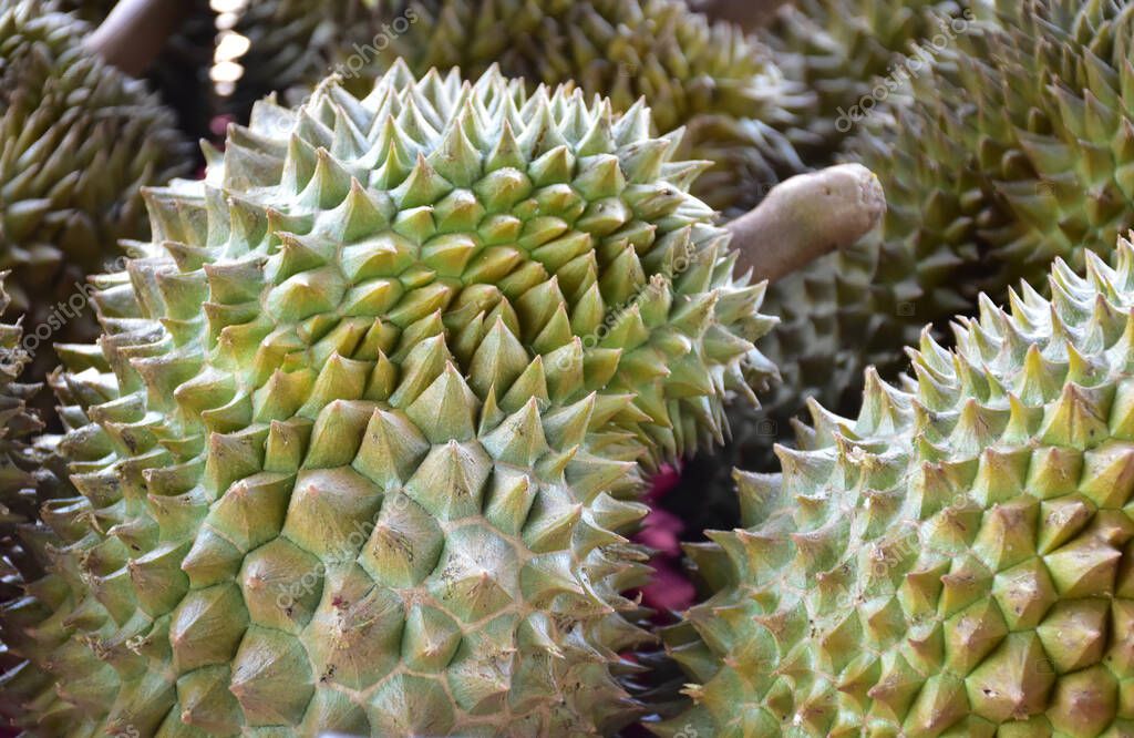 Pila de durian en el mercado de frutas tailandés. 2023
