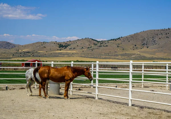 A beautiful ranch just outside of Salt Lake City in Utah. - Stock Image ...
