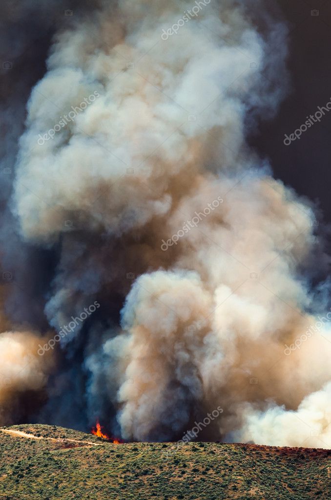 Flames and Dense White Smoke Rising from the Raging Wildfire — Stock ...