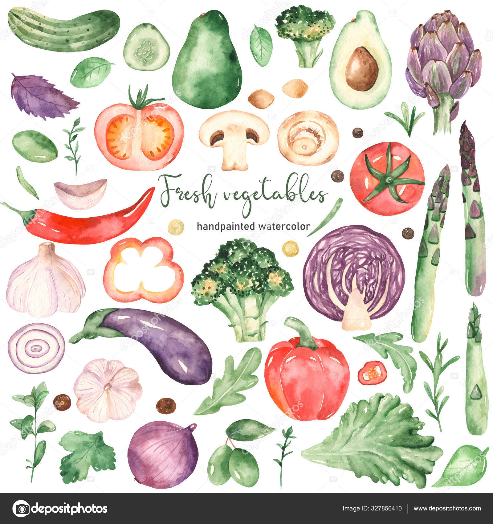 Watercolor clipart with fresh vegetables and herbs Stock Illustration ...