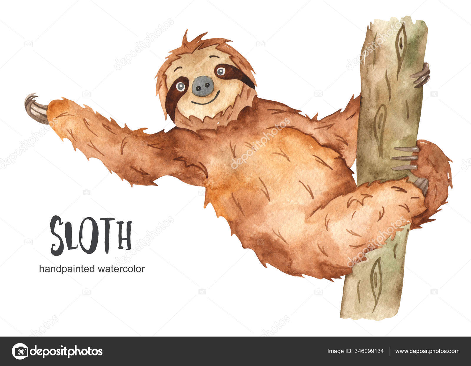Sloth Sitting