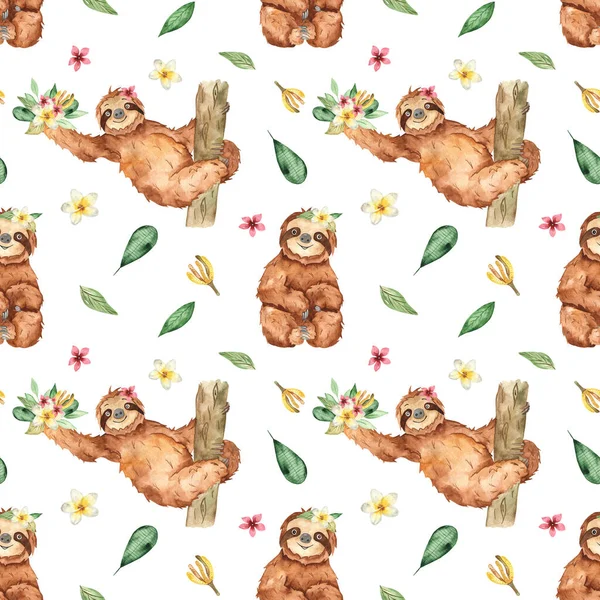 Baby Sloth Wallpaper