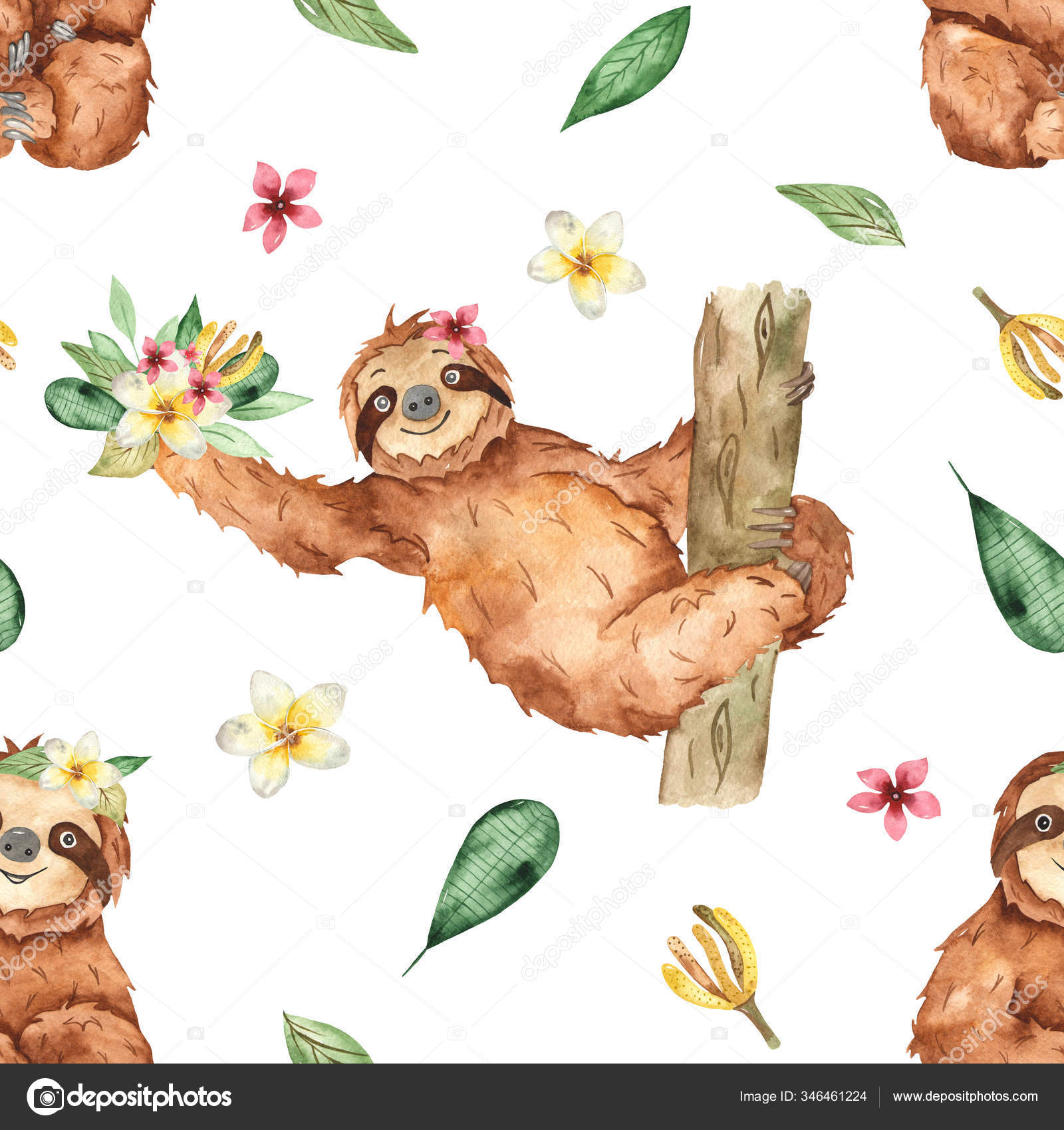 Sloth Background