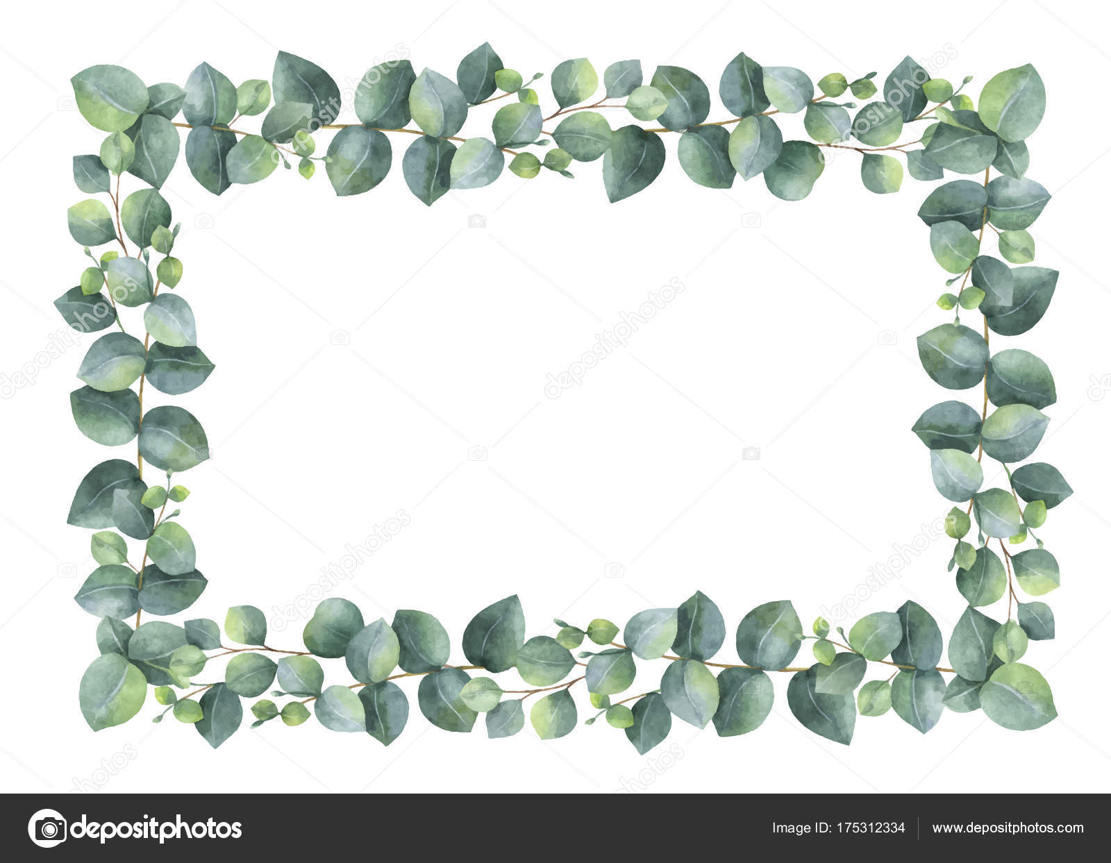 Watercolor hand painted vector rectangular frame with silver dollar ...