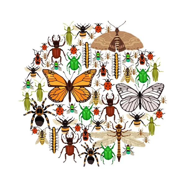 Firebug Stock Vectors, Royalty Free Firebug Illustrations | Depositphotos®
