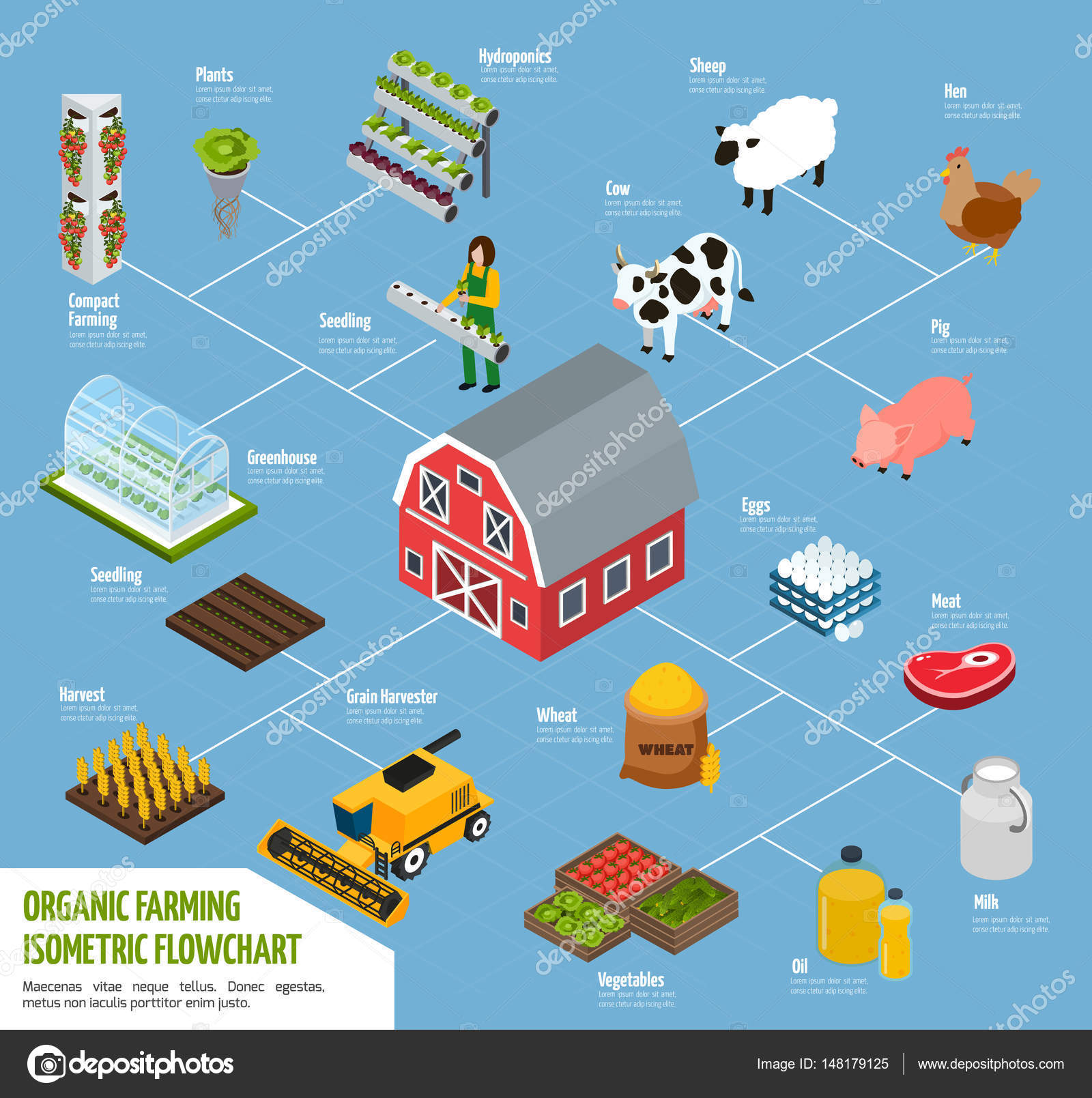 Hydroponics Isometric Flowchart Stock Vector by ©macrovector 148179125