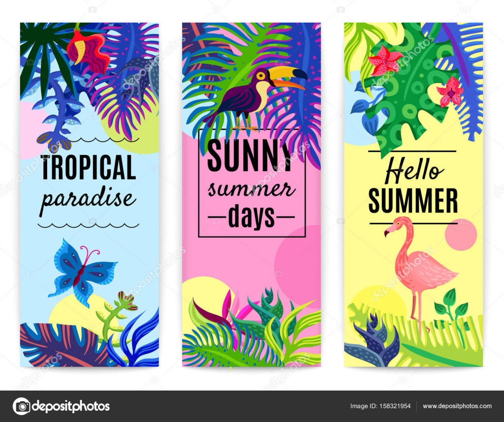 Tropical Paradise Vertical Banners Collection Stock Vector Image by ...