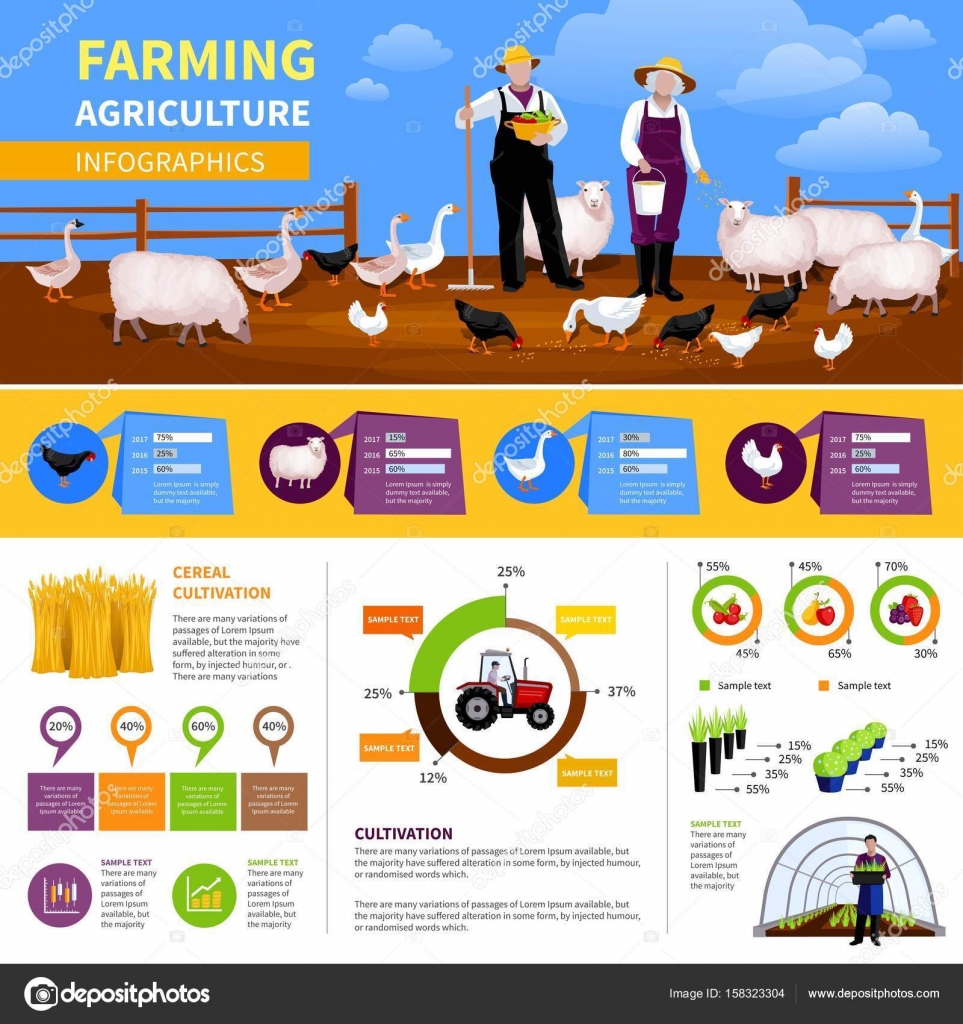 Farming Flat Infographics Stock Vector by ©macrovector 158323304