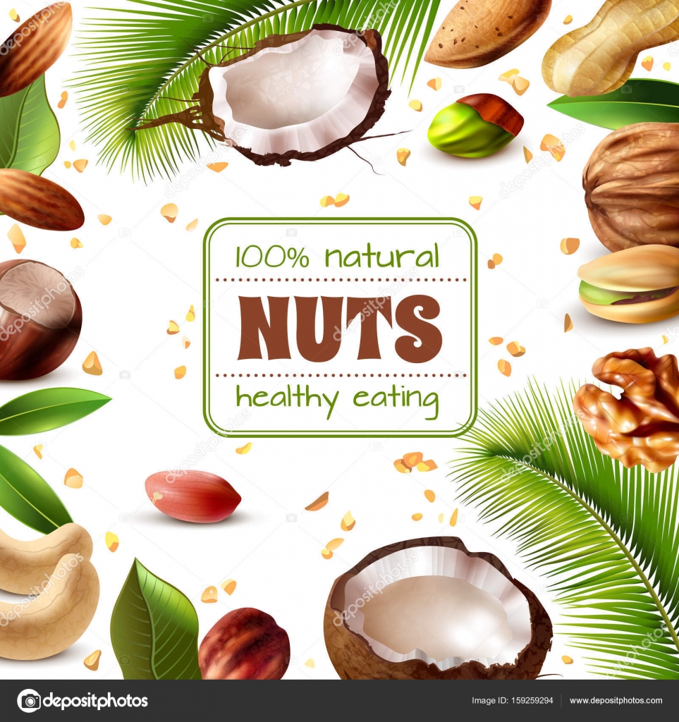 Realistic Nuts Frame Stock Vector by ©macrovector 159259294