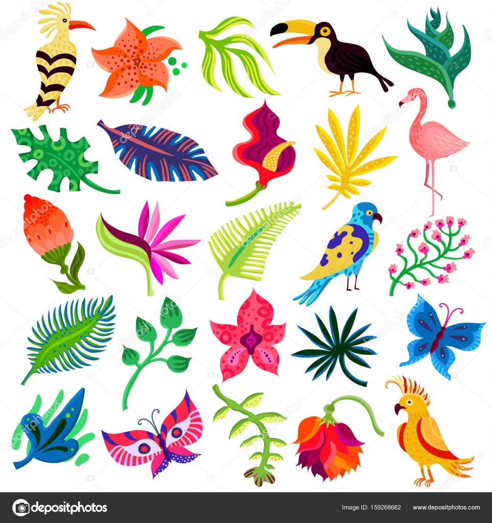 Troipcal Flora And Fauna Stock Vector Image by ©macrovector #159268662