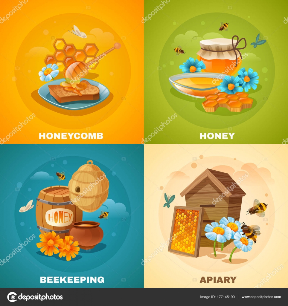 Honey Design Concept Stock Vector Image by ©macrovector #177145190