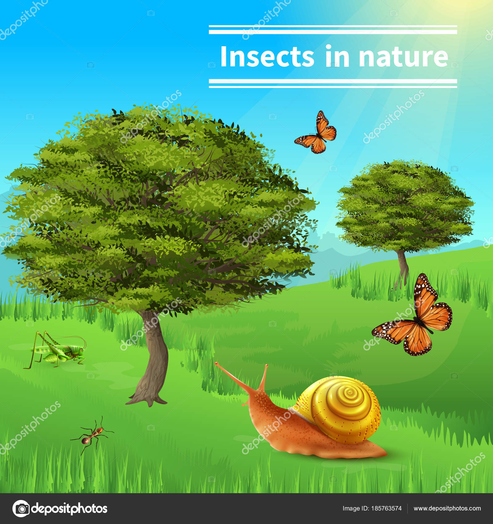 Snail Insects Nature Poster Stock Vector Image by ©macrovector #185763574