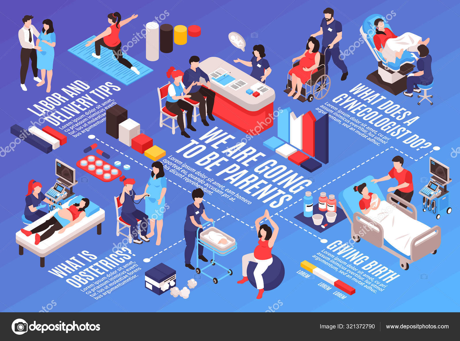Gynecology Isometric Infographics Stock Vector Image by ©macrovector ...