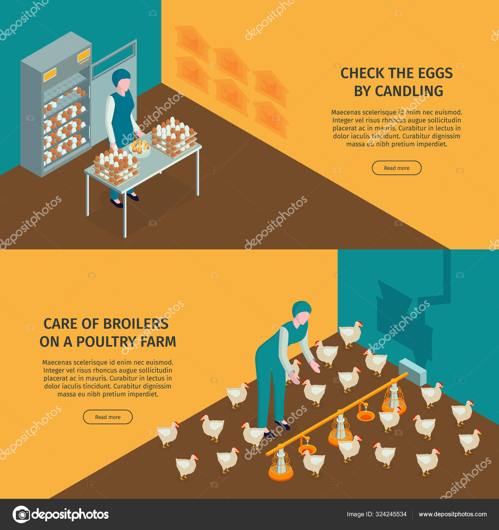 Poultry Farm Horizontal Banners Stock Vector by ©macrovector 324245534