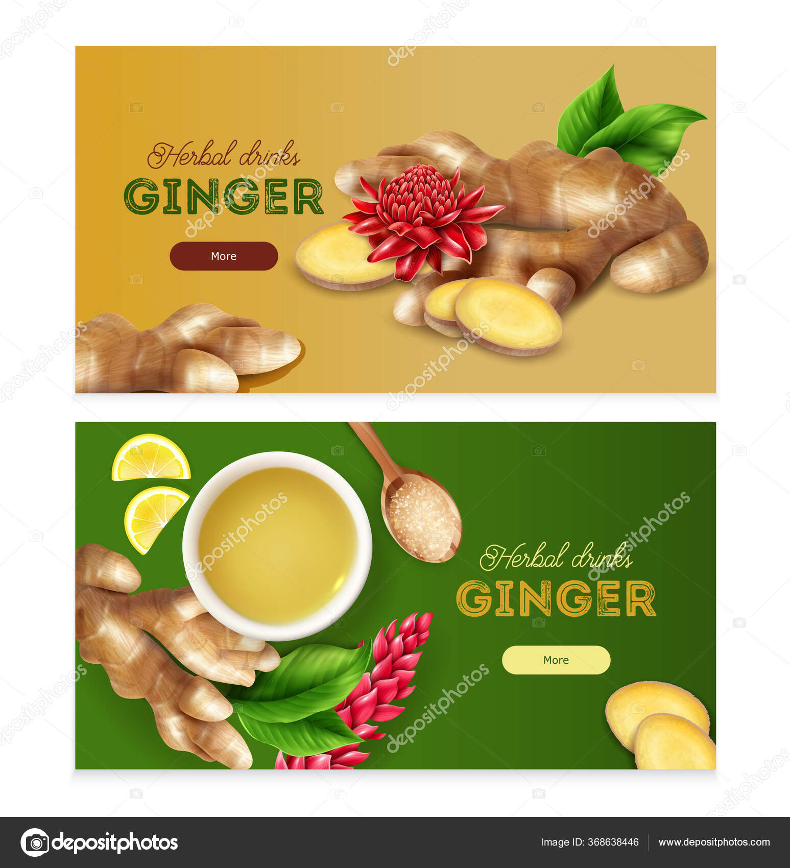 Ginger Realistic Banners Stock Vector Image by ©macrovector #368638446