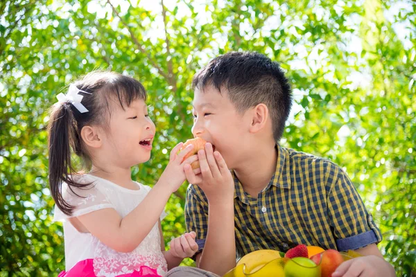 Fruits together Stock Photos, Royalty Free Fruits together Images ...