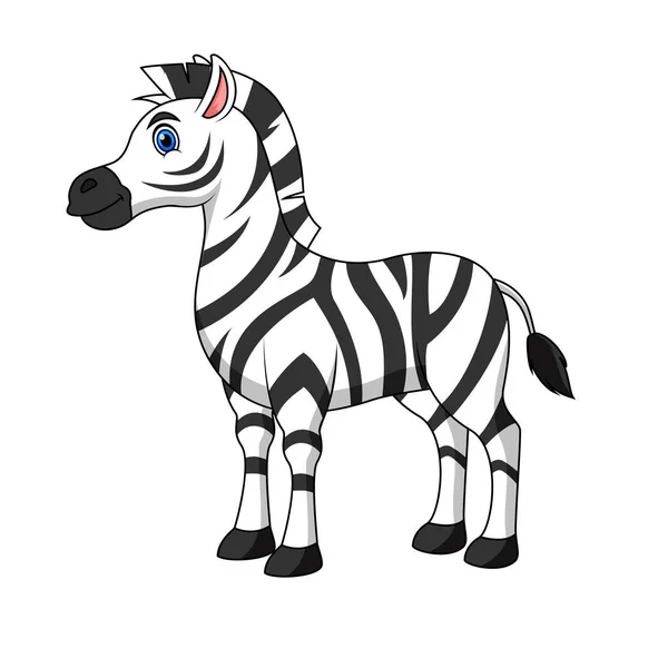 Cartoon Character Zebra Stock Vector Image by ©VisualGeneration #6844800