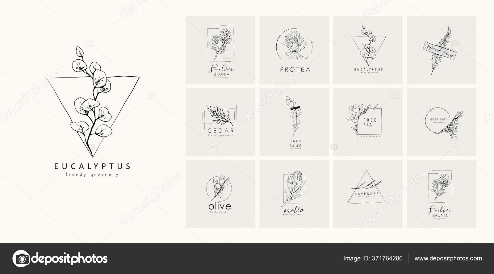 Floral Logo Branch Hand Drawn Wedding Herb Plant Monogram Elegant Stock ...