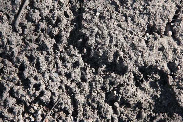 Sol de tourbière images libres de droit, photos de Sol de tourbière ...