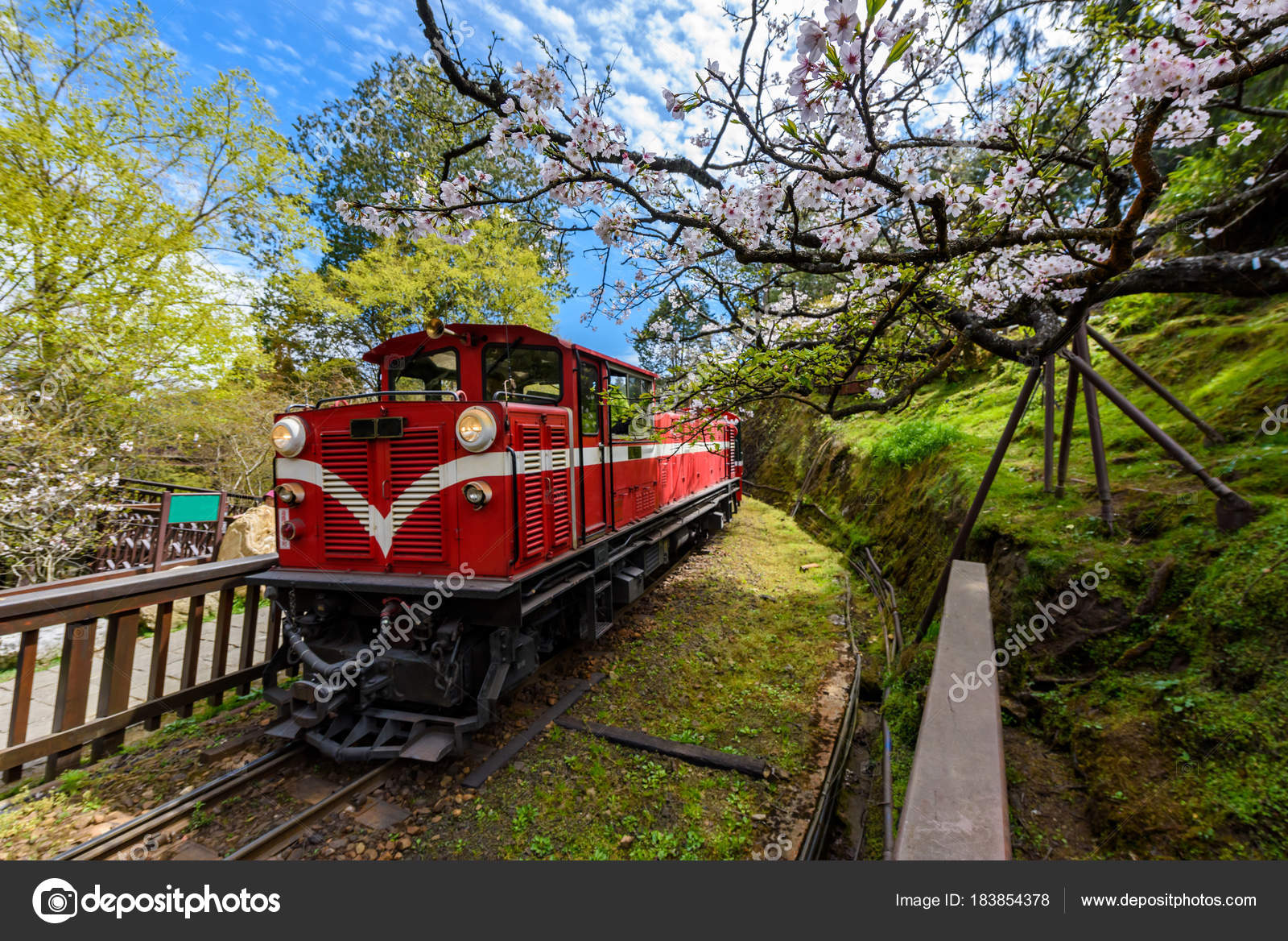 Alishan forest train in Alishan National Scenic Area during spri Stock ...