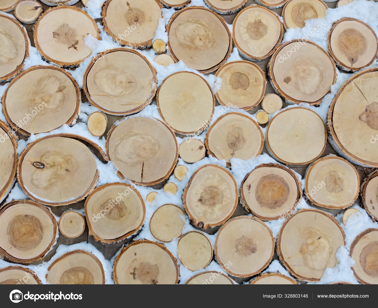 Circle Wood Slices Eco Background Slices Different Sizes Wood Circles ...