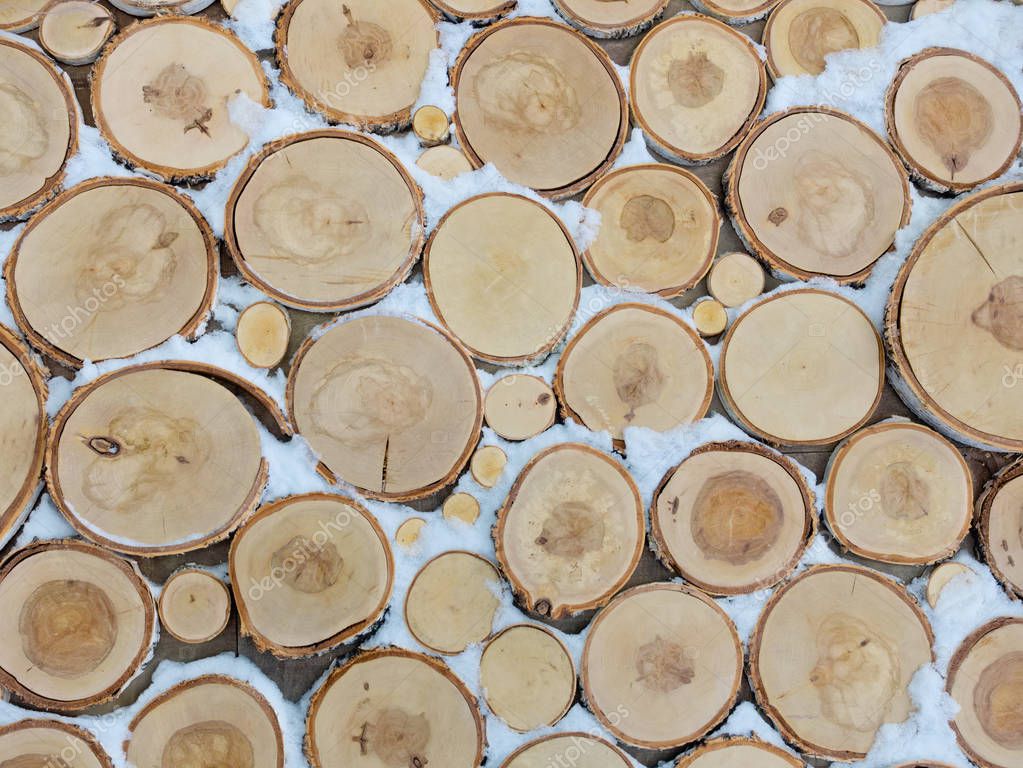 Circle Wood Slices Eco Background Slices Different Sizes Wood Circles ...