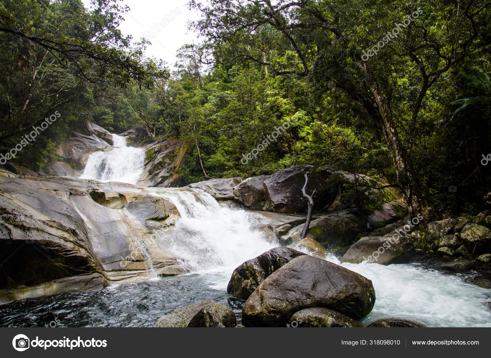 At Josephine Falls Stock Photo by ©22tamiflu@gmail.com 318098010