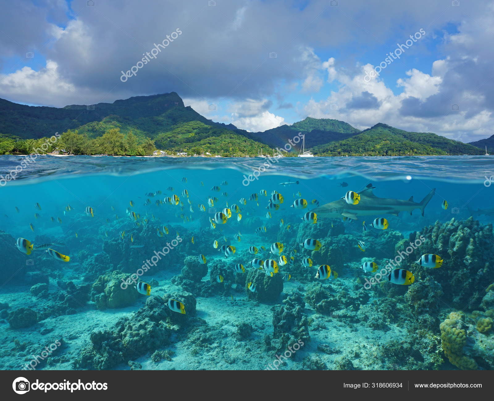 Ocean Surface From Below