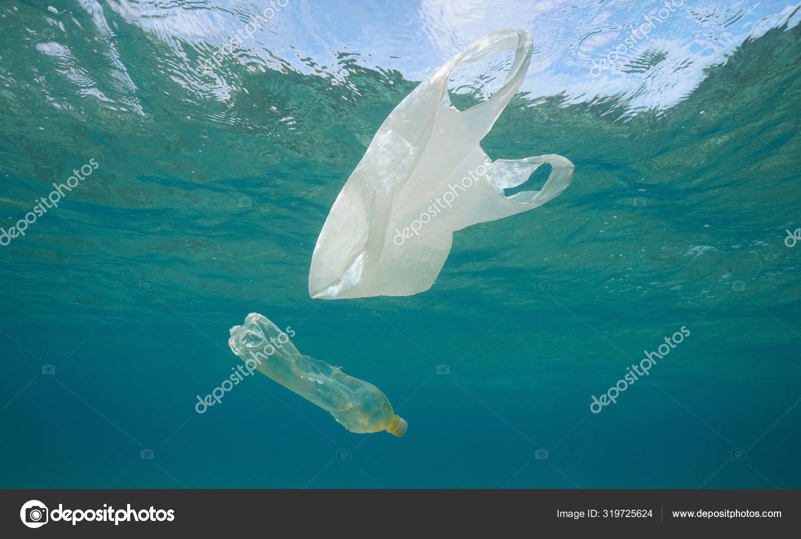 Plastic Bag In Ocean